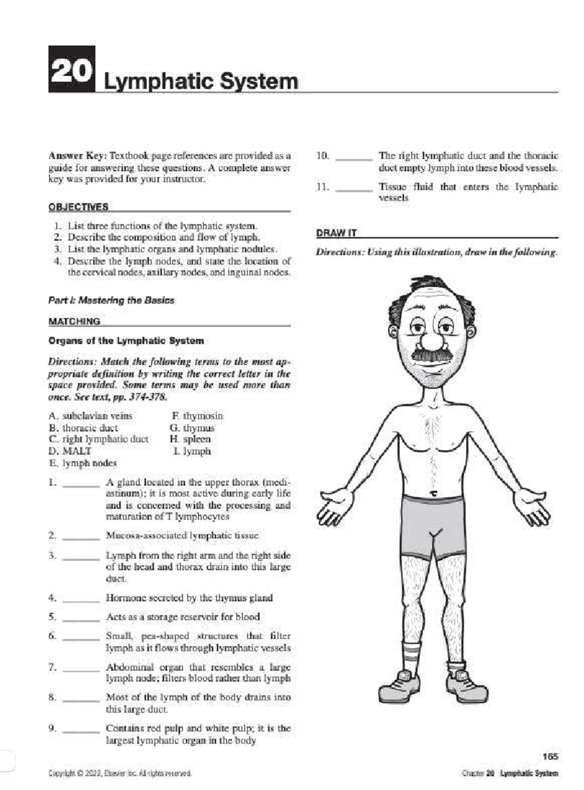 Chapter 20, 21 Lymphatic & Immune System Homework Answer Key - Studocu