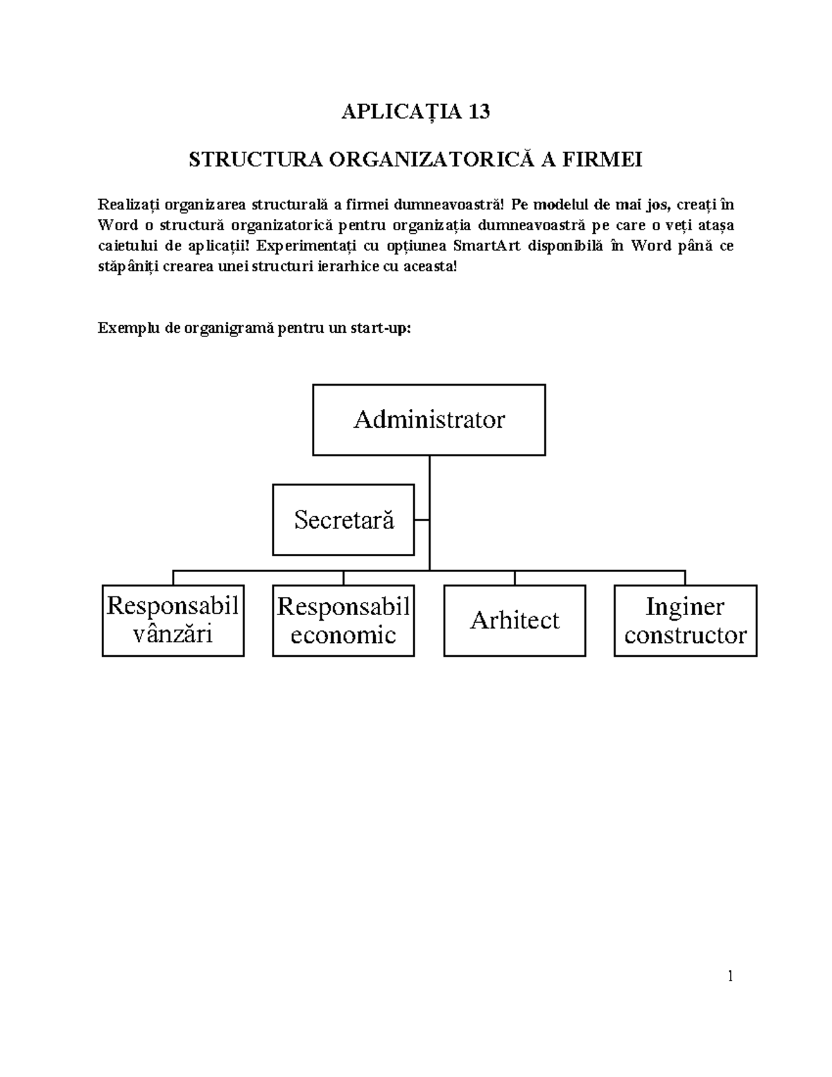 Seminar 5 - ... - APLICAȚIA 13 STRUCTURA ORGANIZATORICĂ A FIRMEI ...