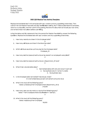 DAD 220 Analysis and Summary Template - DAD 220 Professor Gibbs Zachary ...