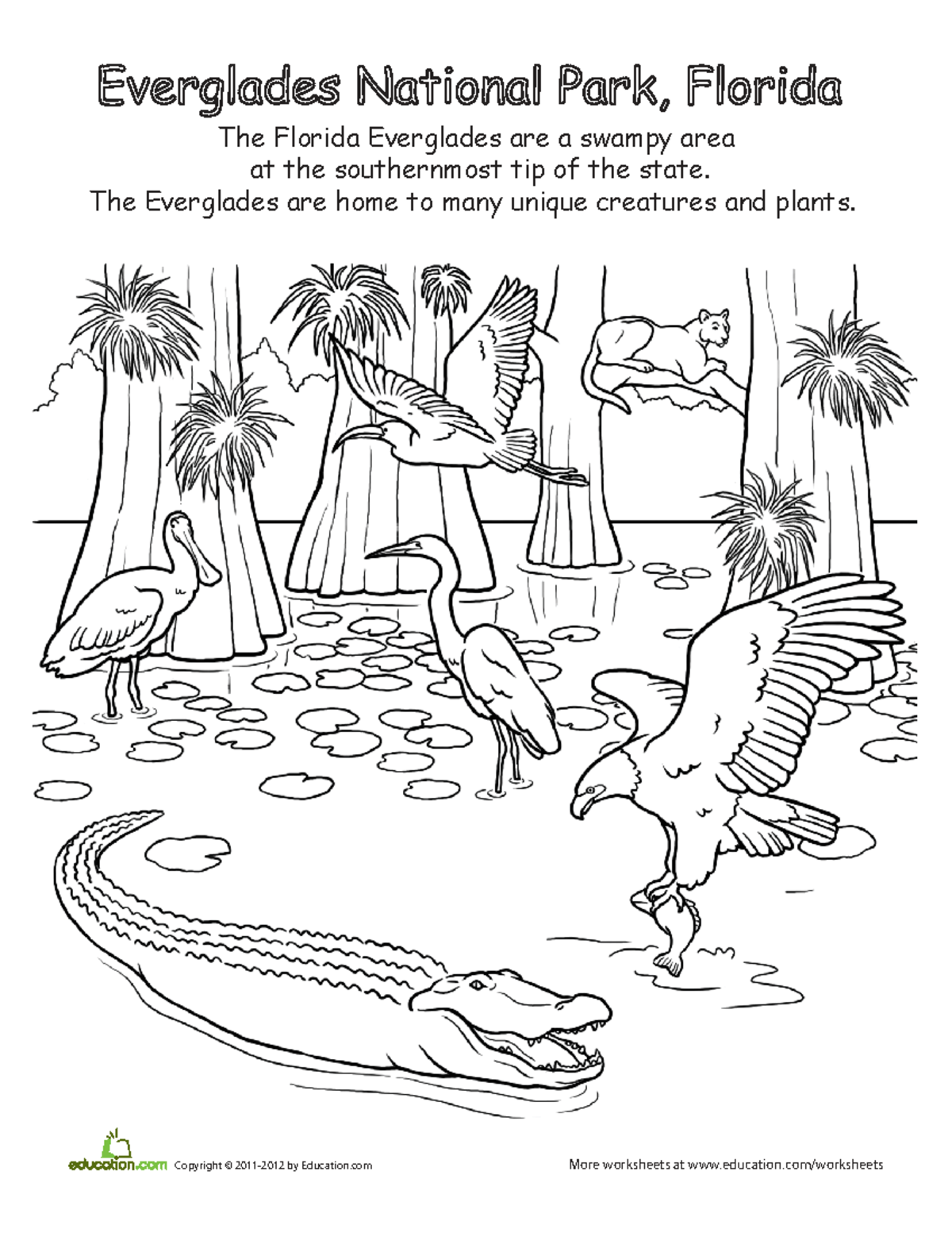 Everglades - project outreach - ENVS 3170 - Copyright © 2010-2011 by ...