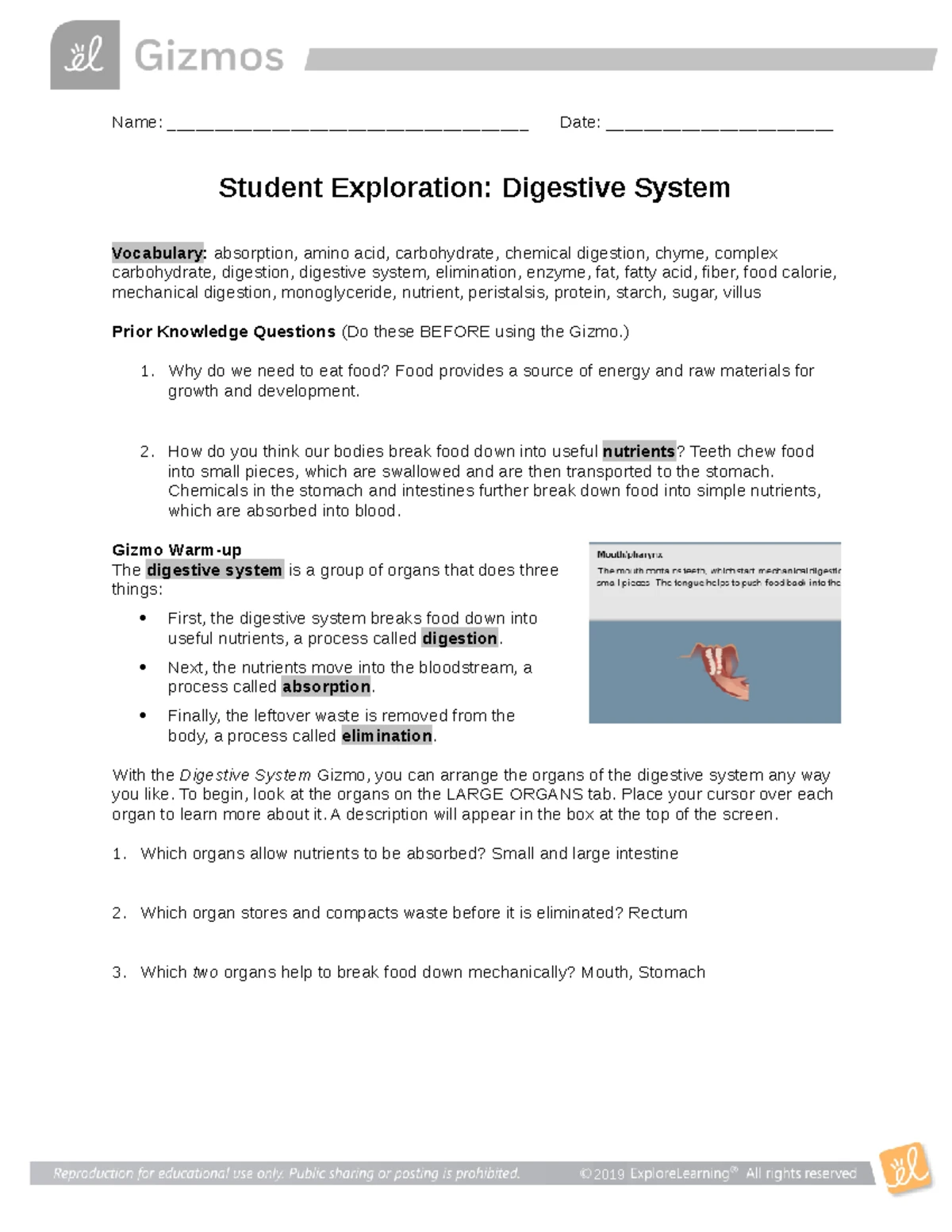Igcsebio WB Ans - Answer Key for Cambridge IGCSE Biology Workbook - Studocu