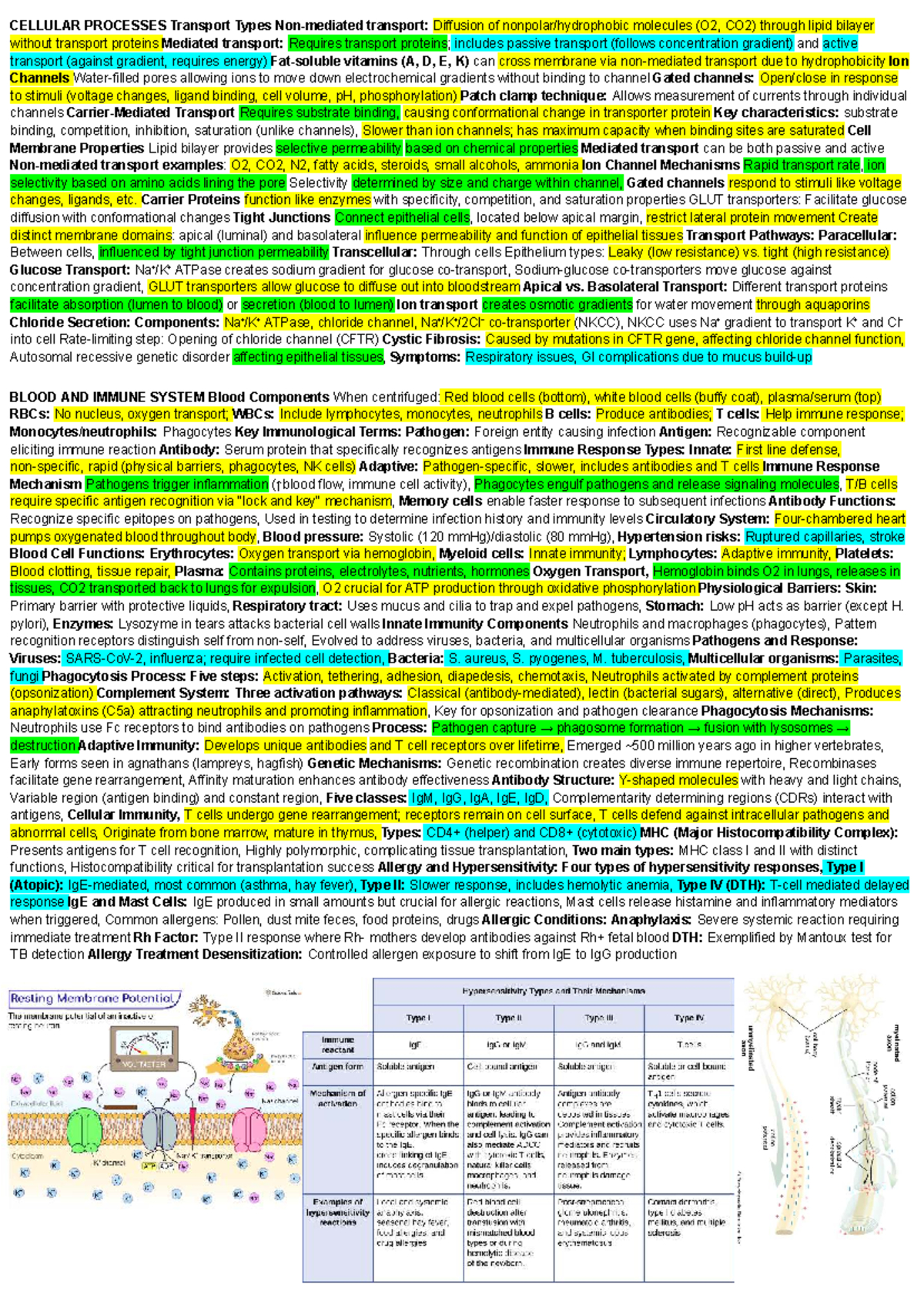 BioSci107 Cheat Sheet: Cellular Processes & Immune System Overview ...