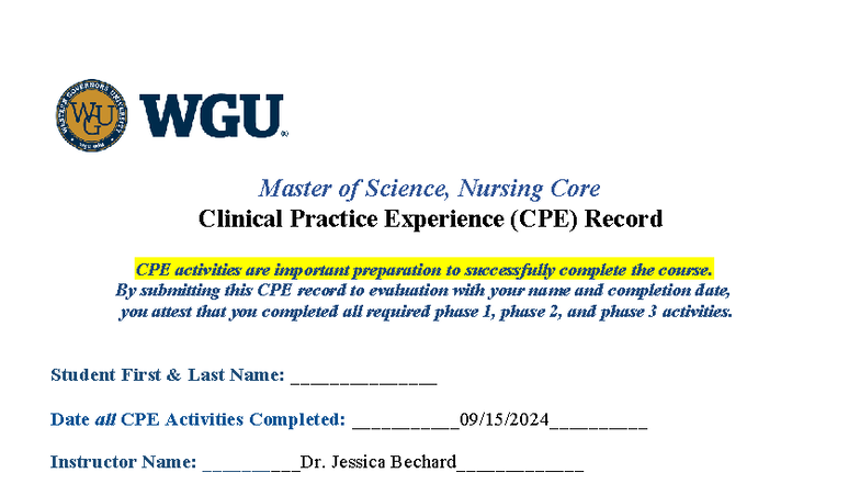 D031 Master of Science Nursing CPE Record: Core Clinical Activities ...