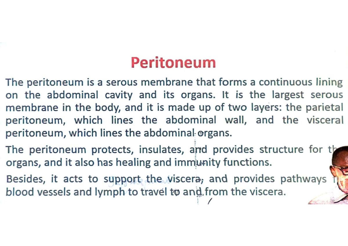 Anatomy of Peritoneum and Reflections - ANAT 170 Lecture Notes - Studocu
