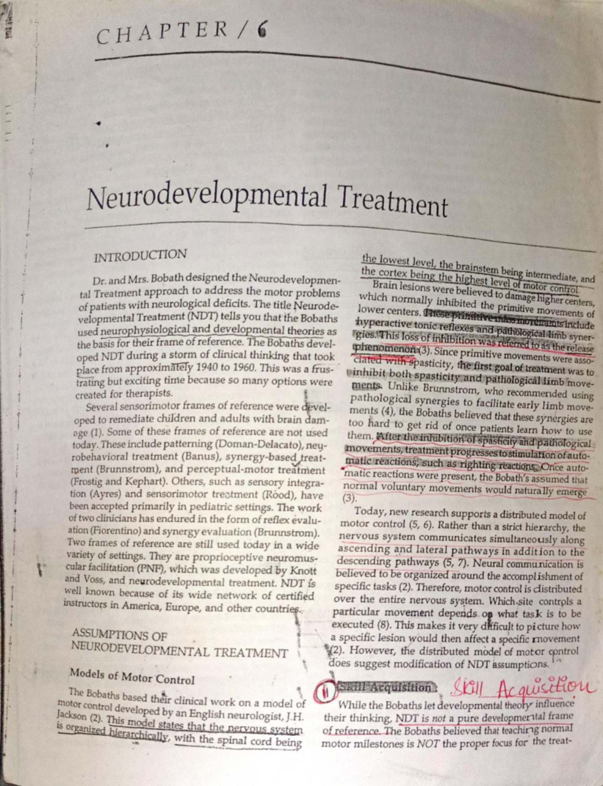 Neurodevelopmental Treatment (NDT) Overview and Principles - Studocu