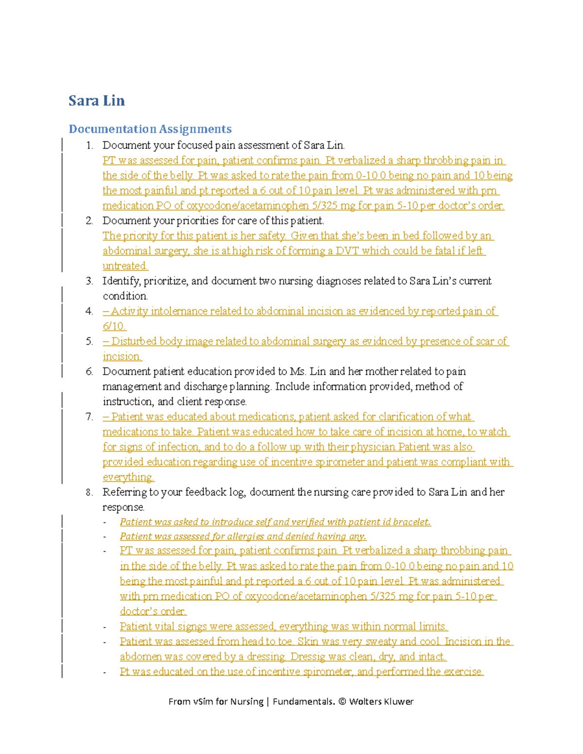 Sara Lin VSIM Nursing Documentation: Pain Assessment & Care Priorities ...