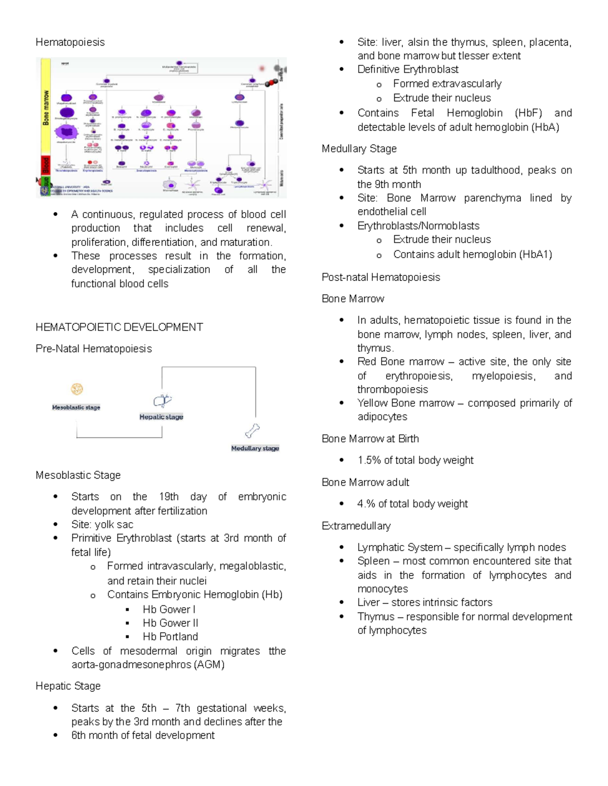 Hematopoiesis Overview: Key Stages and Processes in Blood Cell ...