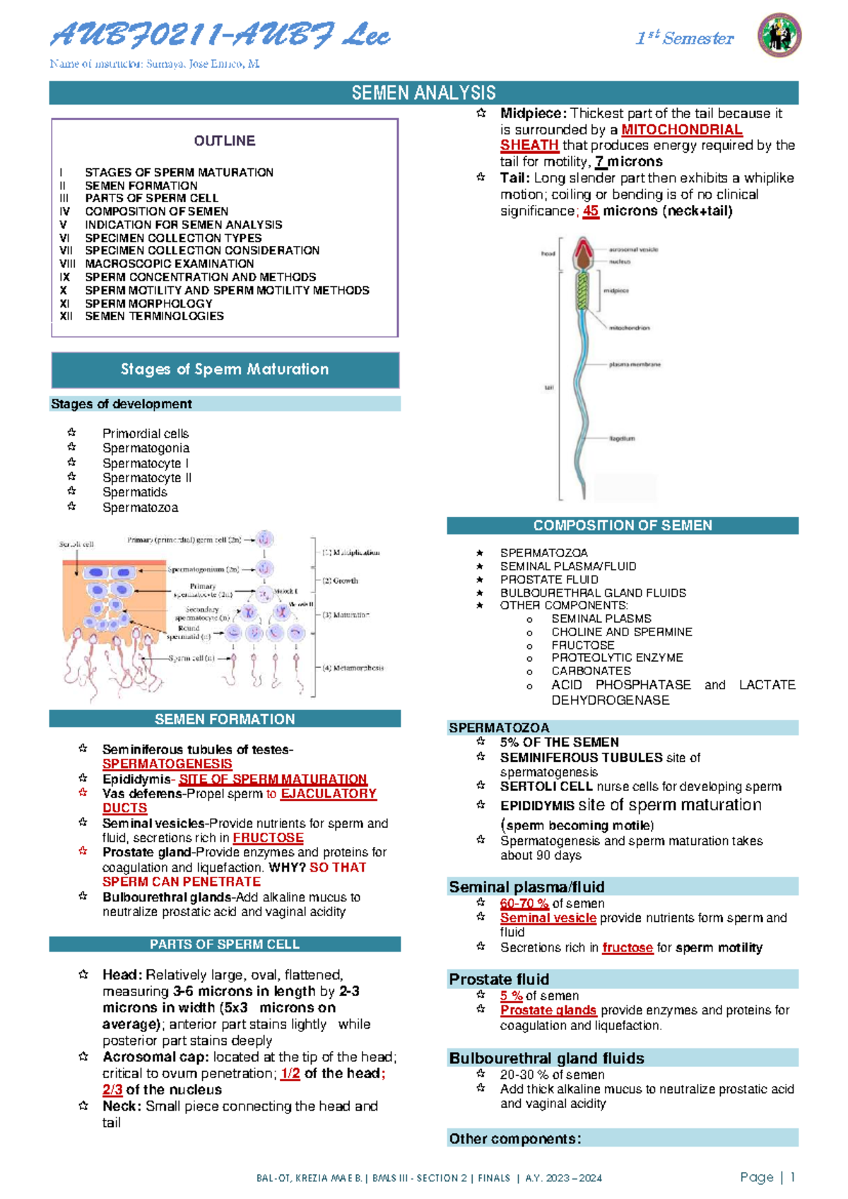 BMLS 2nd Sem: Comprehensive Semen Analysis Guide for Finals 2023-2024 ...