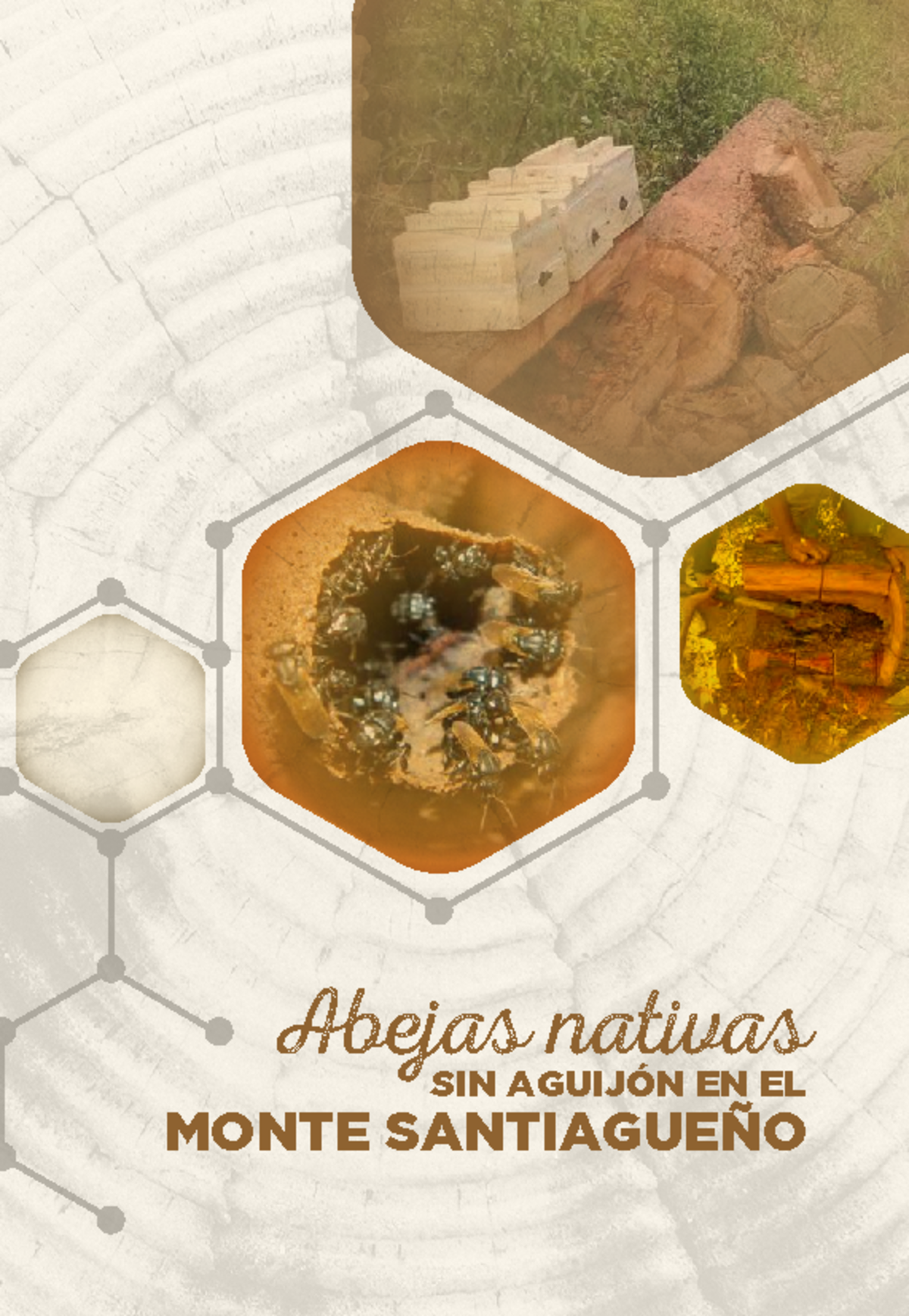 Abejas Nativas Sin Aguijón en el Monte Santiagueño: Guía Práctica - Studocu