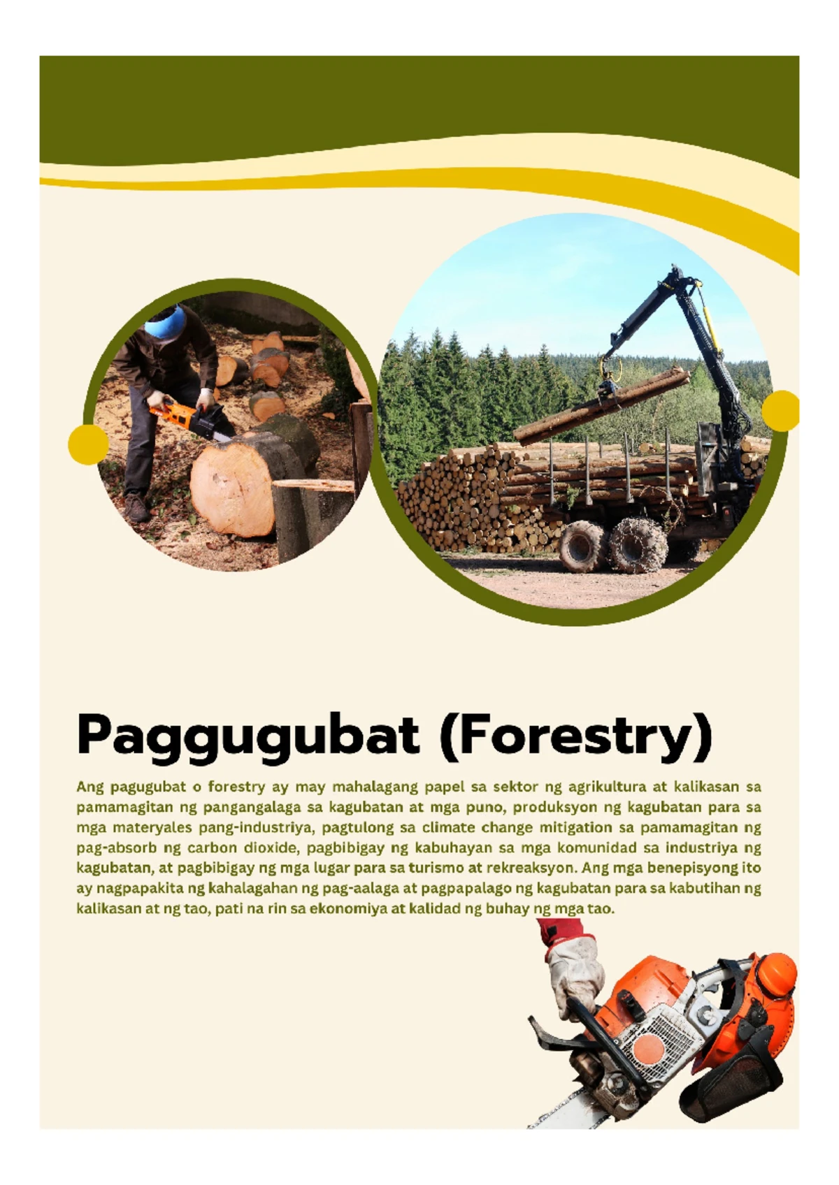 Agrikultura 195128: Paghahayupan at Kahalagahan nito sa Ekonomiya - Studocu