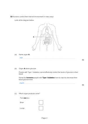 Unit 8 btec business level 3 assignment 2 helpsheet - Unit 8 Assignment ...