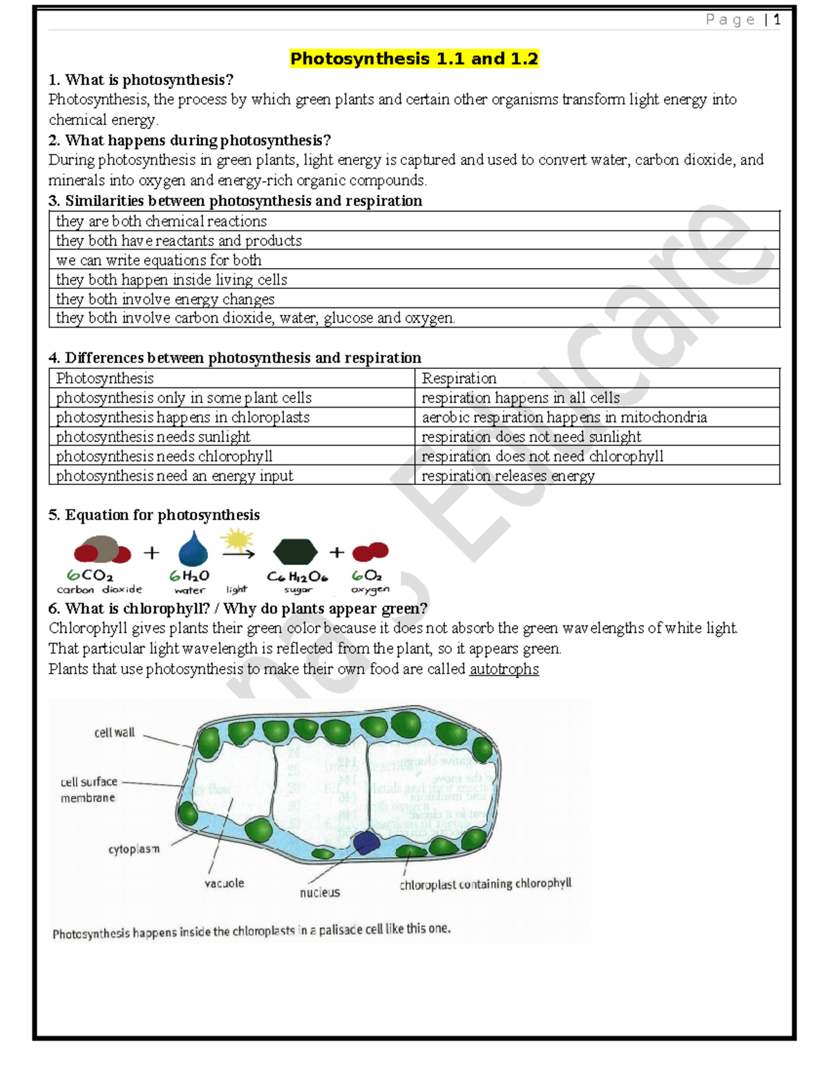 Photosynthesis Study Notes: Key Concepts and Processes (Bio 101) - Studocu