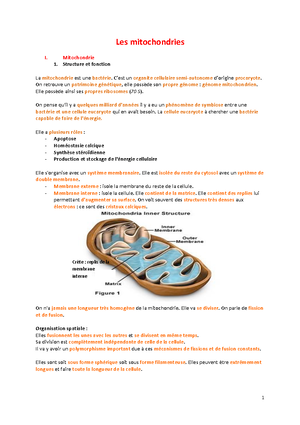 TD Mécanique des fluides - Série TD n°1 : Statique des fluides Exercice n° La figure ci-dessous ...
