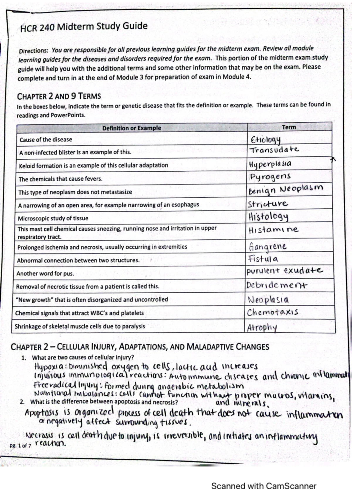 Midterm Study Guide for Comprehensive Exam Preparation - Studocu
