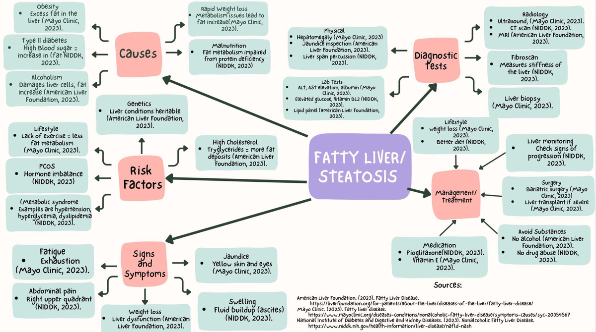 Obesity and Liver Health: A Comprehensive Study (NIDDK, 2023) - Studocu