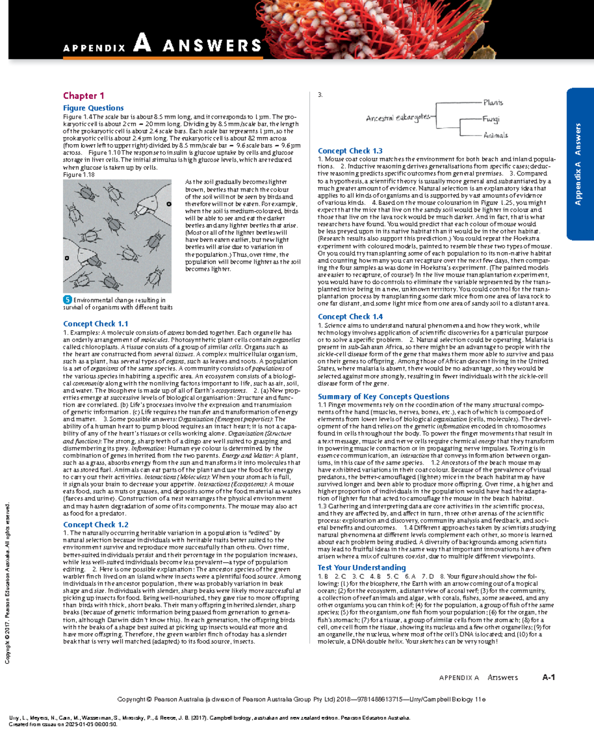 Campbell Biology (Appendix A) Answer Key and Study Guide - Studocu