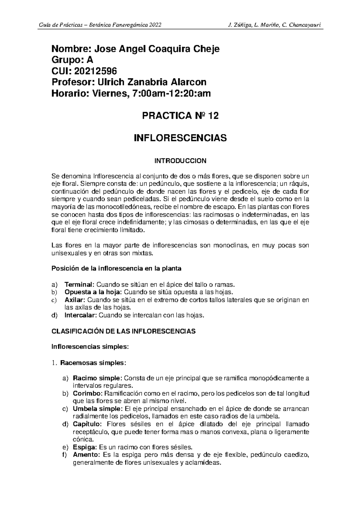 Práctica Nº 12: Inflorescencias en Botánica - Grupo A - Studocu
