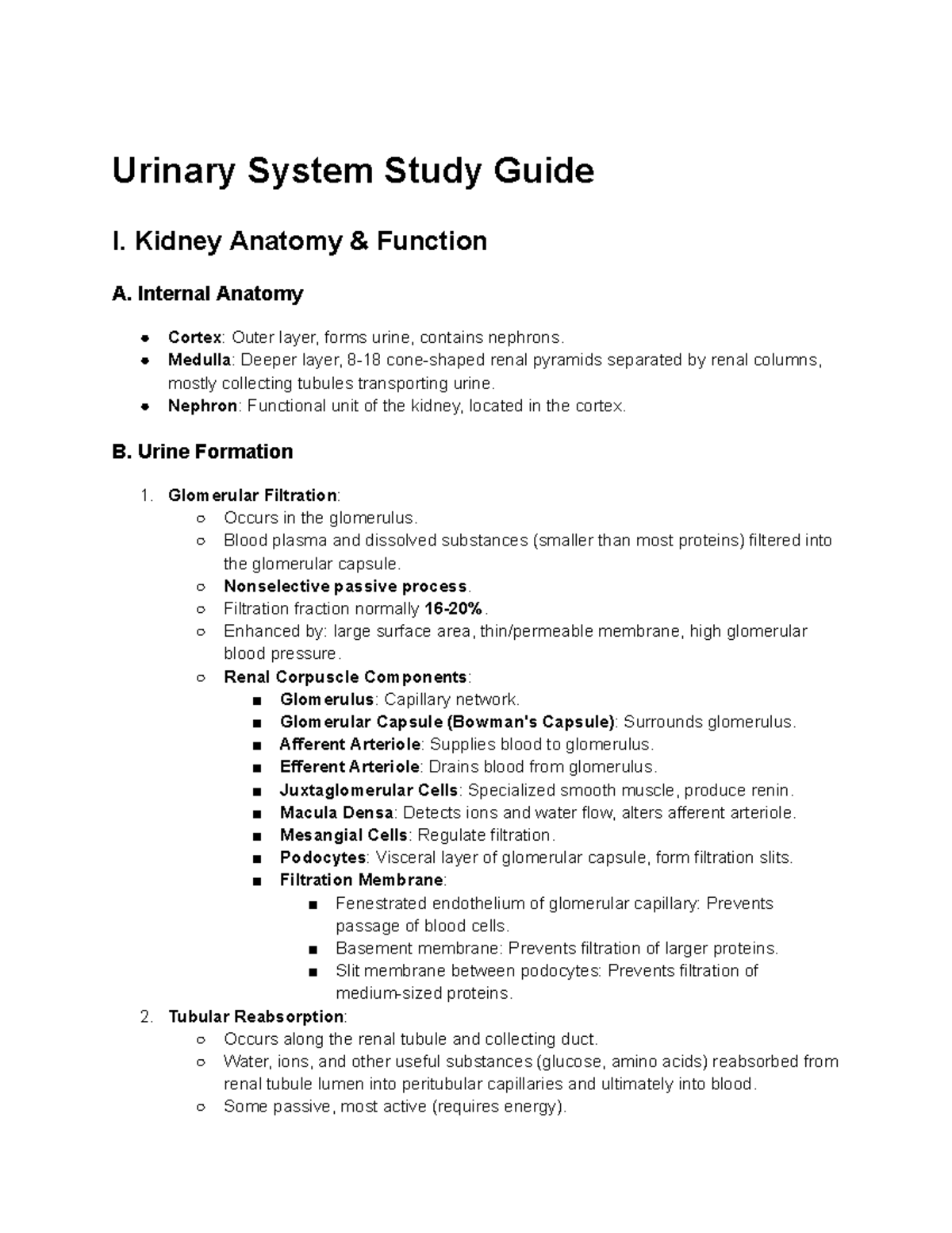 Urinary System Study Guide I: Kidney Anatomy & Function Overview - Studocu
