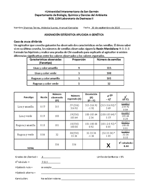 SAEE - 01 Informe sobre el funcionamiento escolar o académico ...