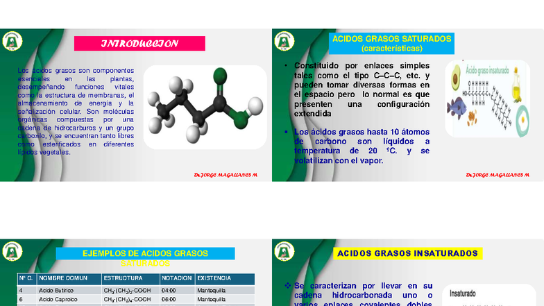 Bio9 - Química: Características de Ácidos Grasos Saturados e ...