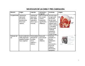[Solved] Apfisis Unciforme funcion y relacion - Anatomia y disecciones ...