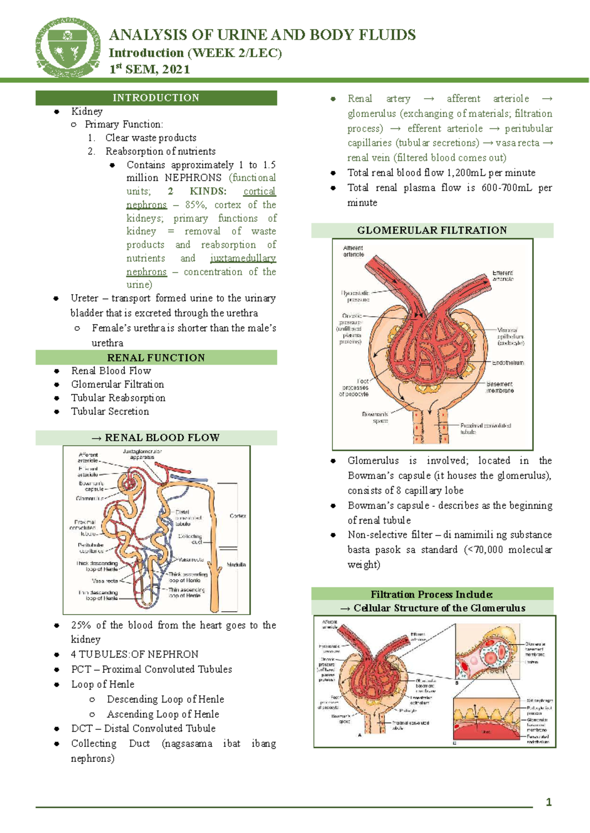 WEEK 2 The Urinary System and The Introduction to Urinalysis ...