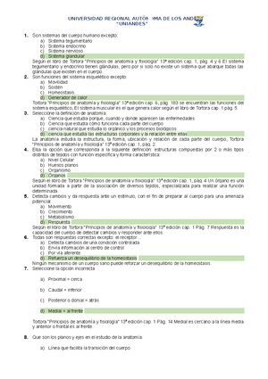 Tipos de Implantes RX Temp - Estudio de Diversos Modelos y ...