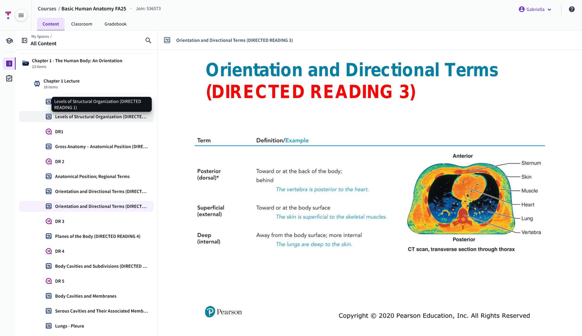 Basic Human Anatomy FA25: Orientation and Directional Terms Lecture ...