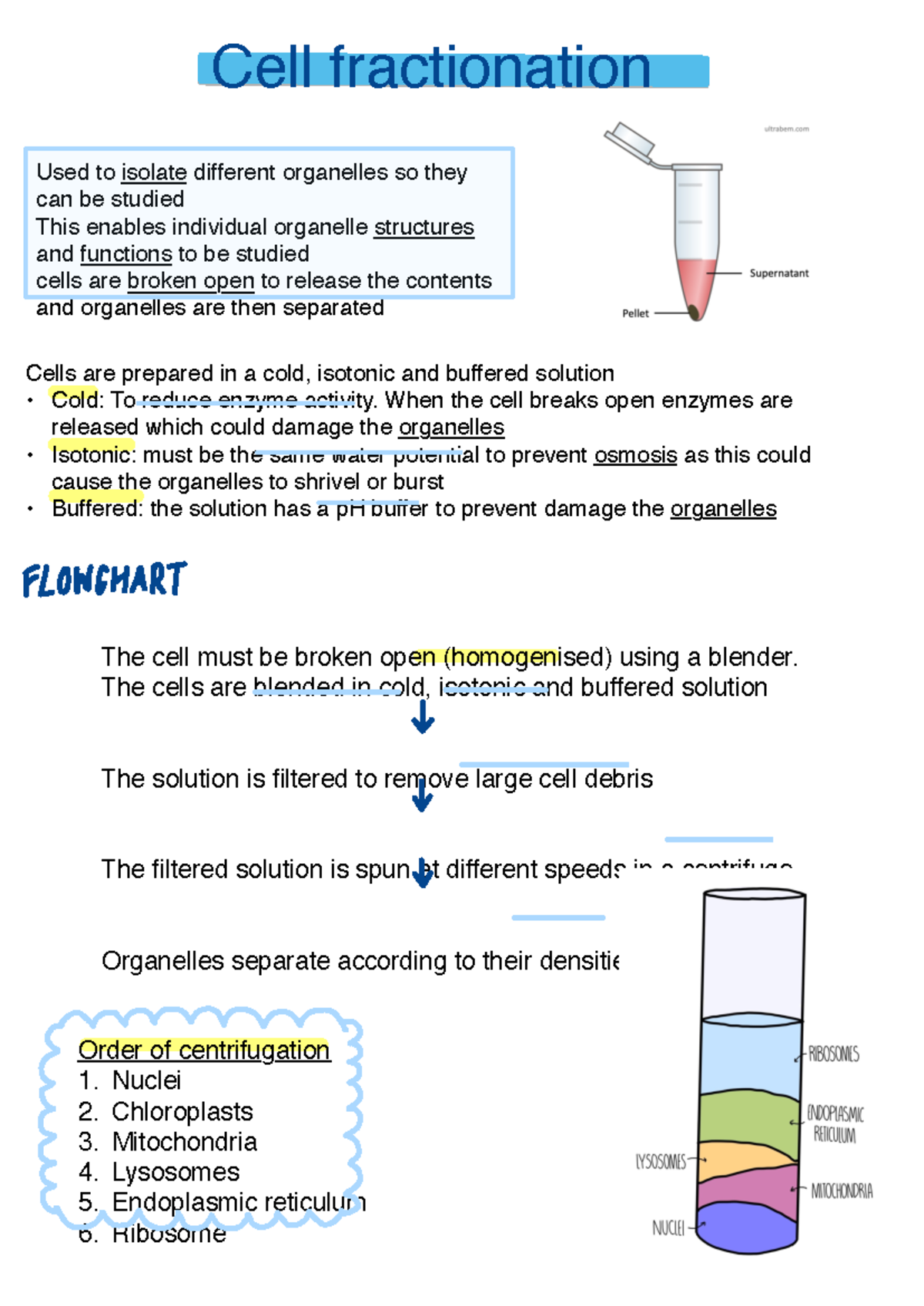 Cell Fractionation Techniques: Isolation of Organelles Explained - Studocu