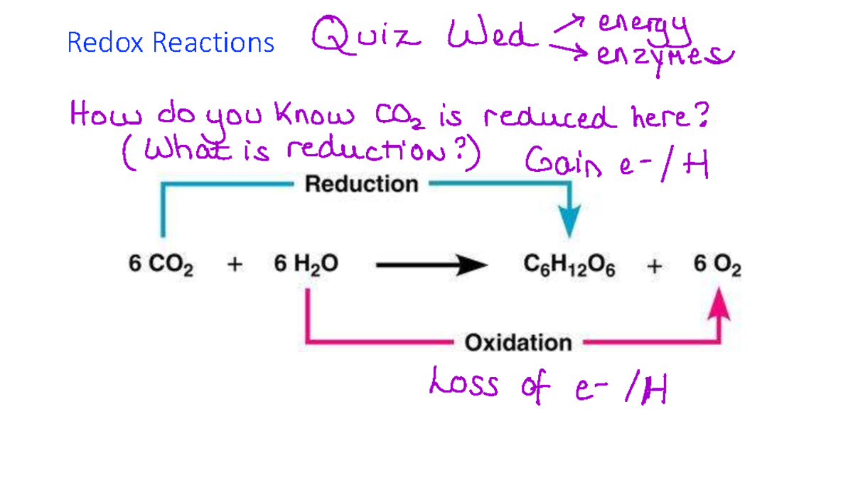 Redox Reactions Quiz - Studocu