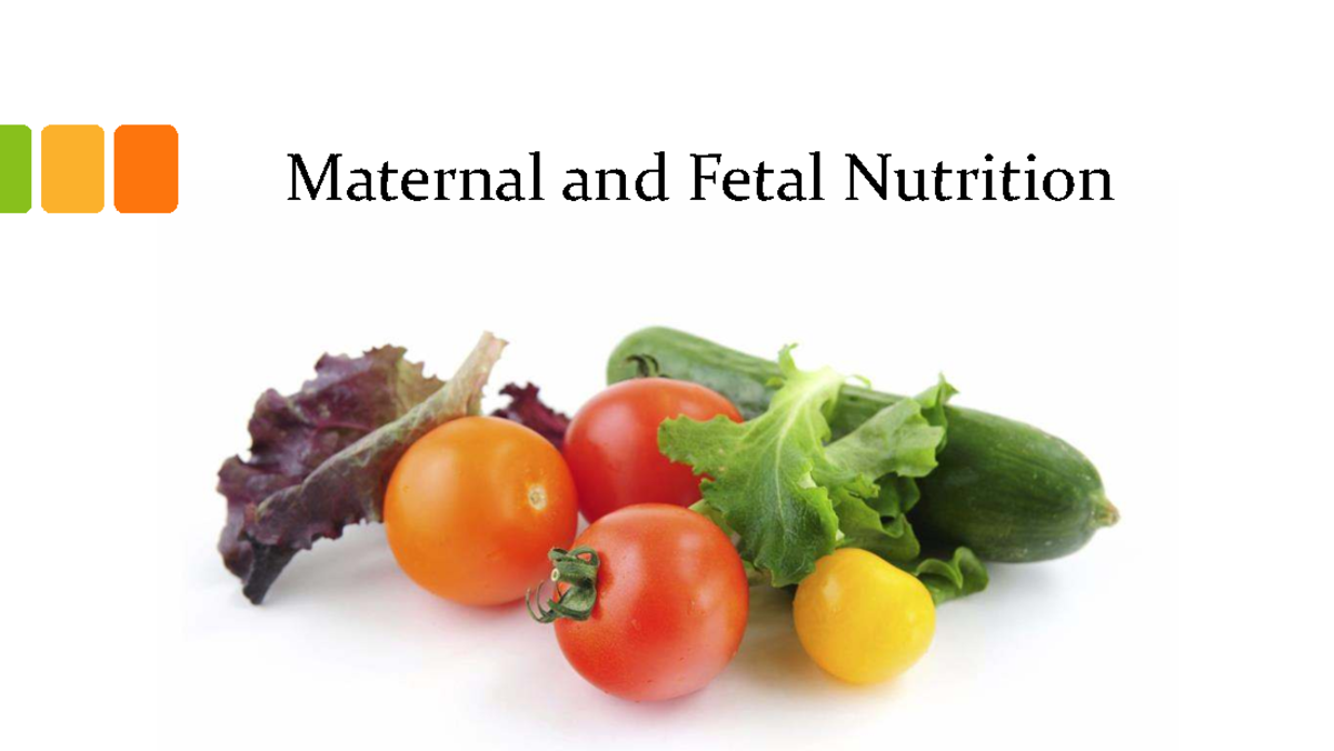 Maternal and Fetal Nutrition (NUTR 101): Dietary Guidelines for ...