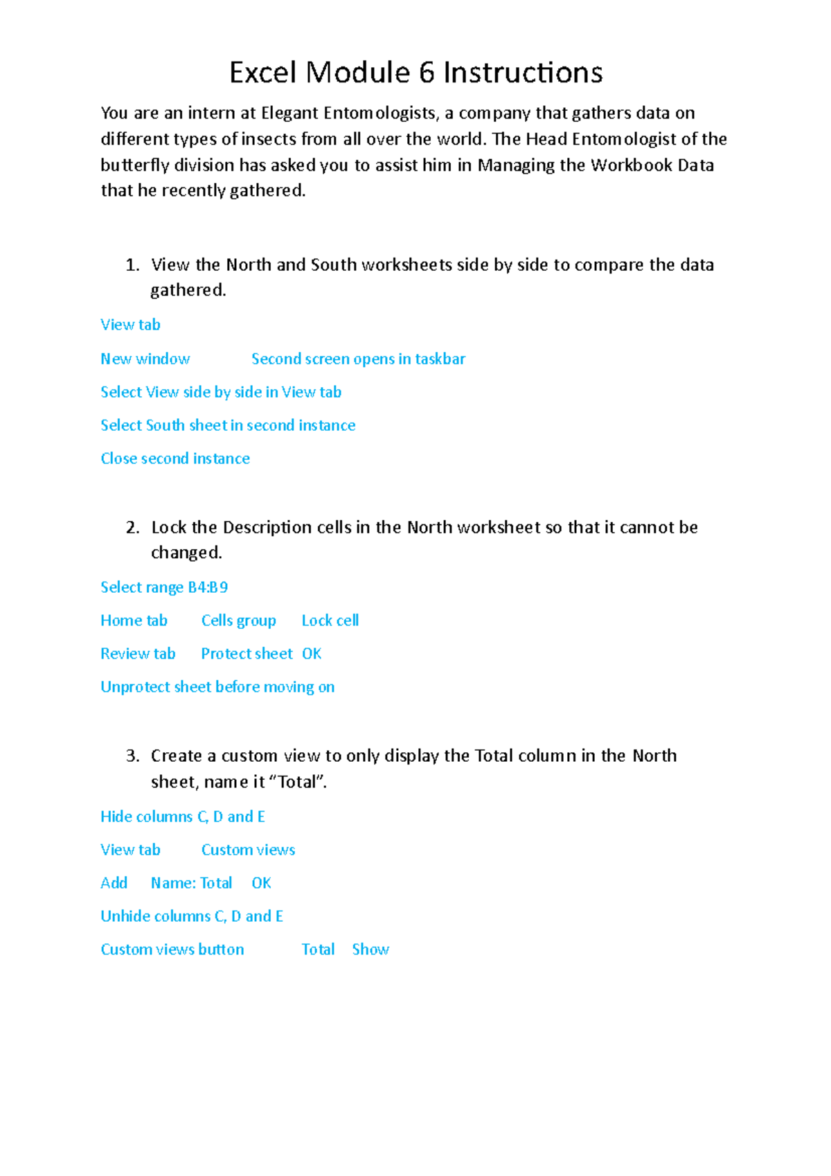 Excel Module 6 Instructions - Excel Module 6 Instructions You are an ...