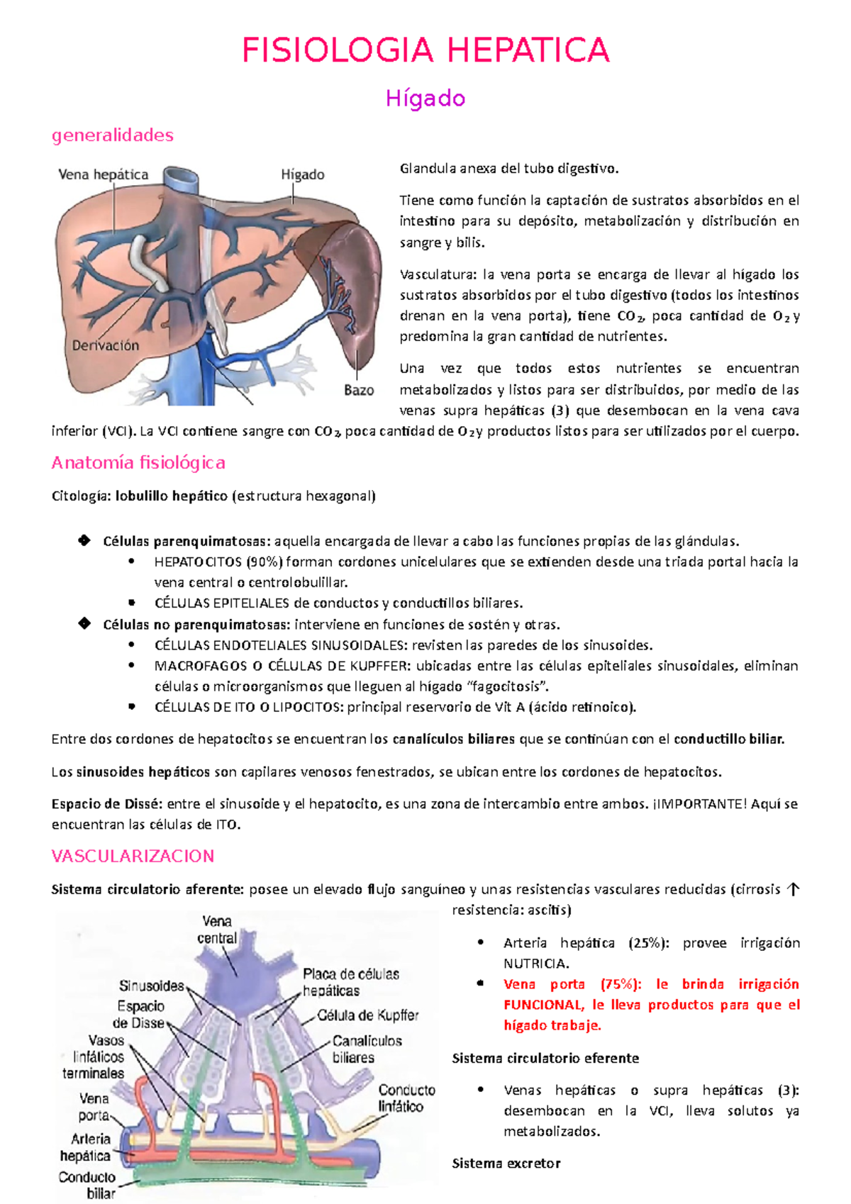 Fisiología Hígado Resumen Fisiologia Hepatica Hígado Generalidades