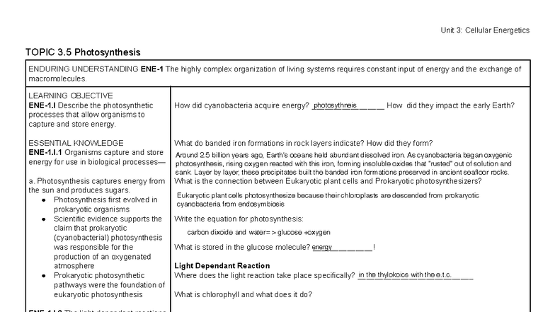 AP Biology Unit 3: Photosynthesis Overview and Key Concepts - Studocu