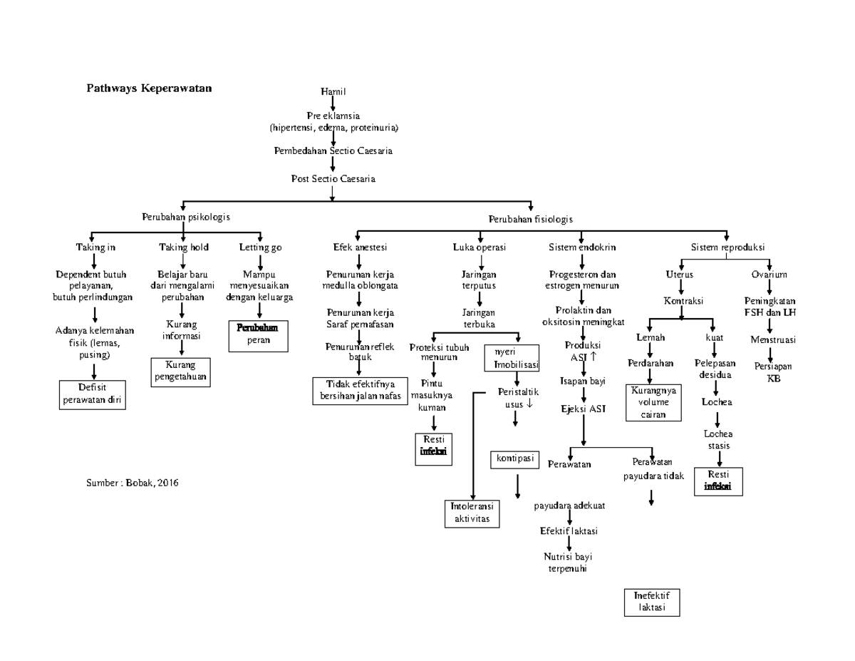 Pathways Keperawatan preeklamsi - Nursing - UNSYIAH - Studocu