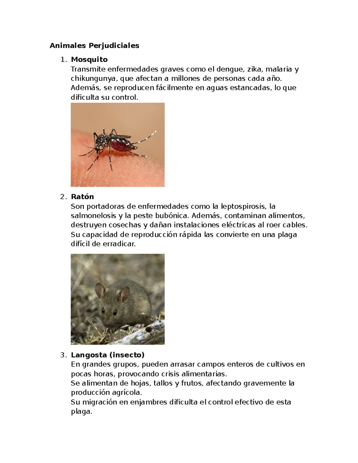 Animales Perjudiciales y Útiles: Impacto en Ecosistemas y Salud - Studocu