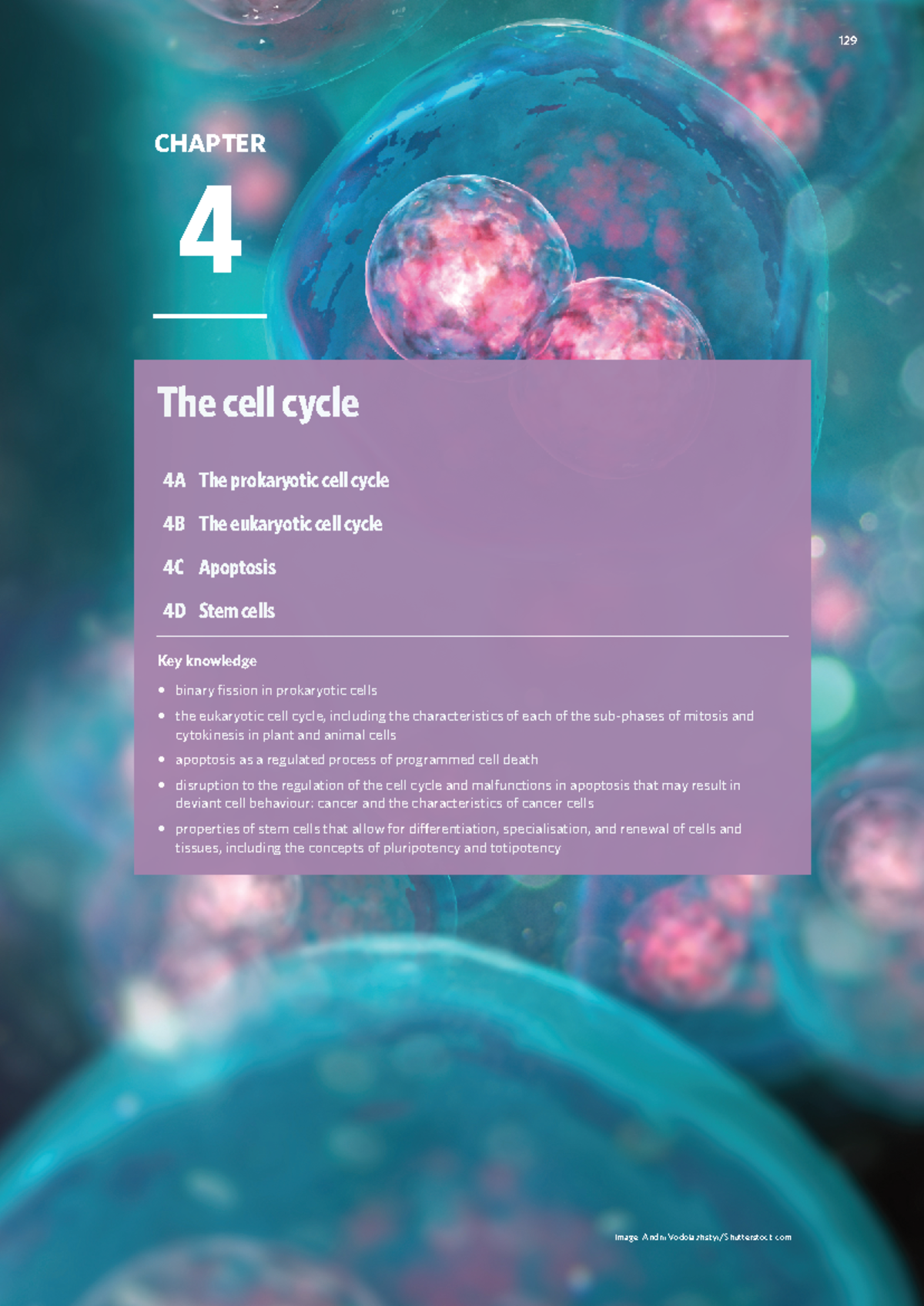 129 VCE Biology Unit 12 Chapter 4: The Cell Cycle Overview - Studocu