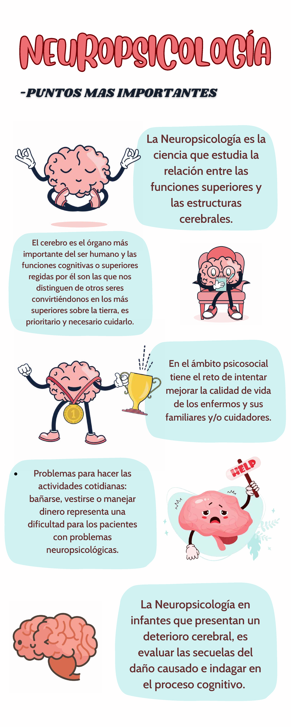 Infografía sobre Neuropsicología: Funciones y Estructuras Cerebrales ...