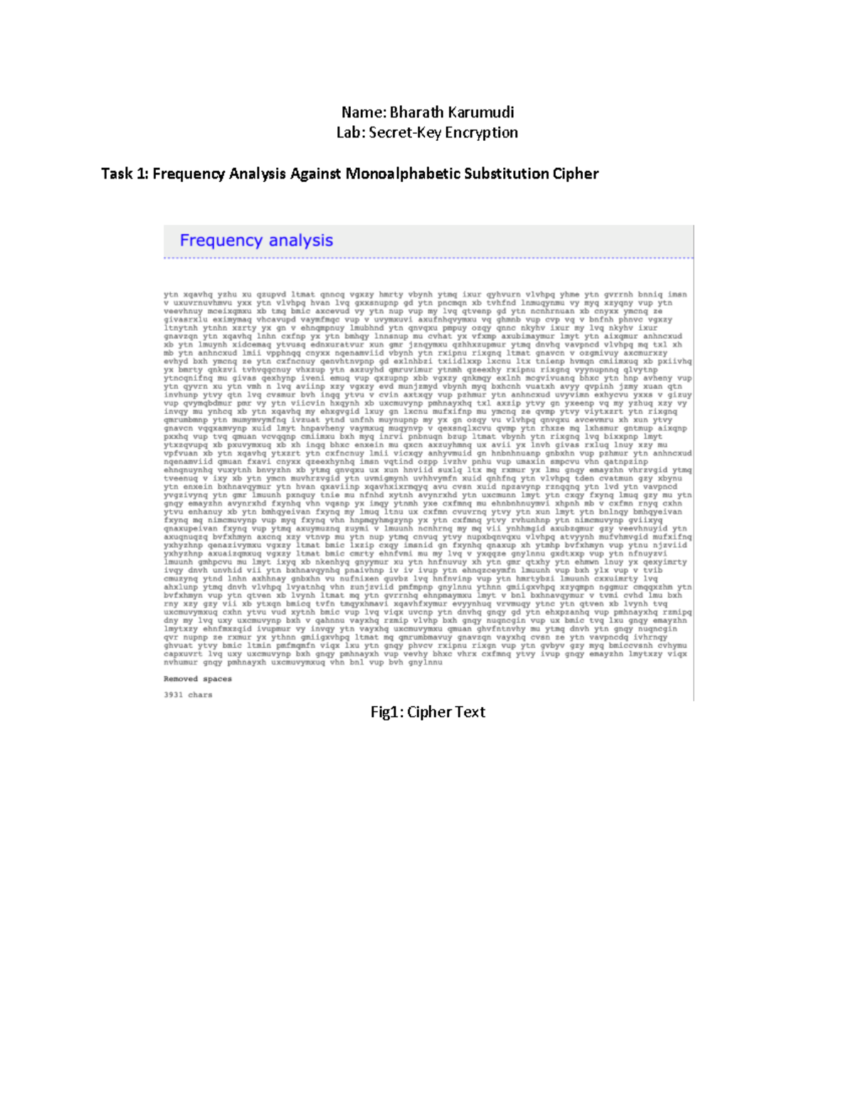 Secret-Key Encryption Lab Report: Frequency Analysis & Cipher Modes ...