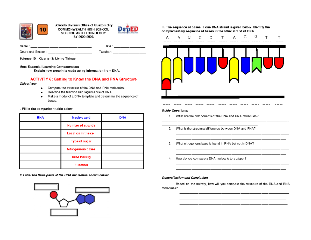 G10Q3 Activity 6: Comparing DNA and RNA Structures - Studocu