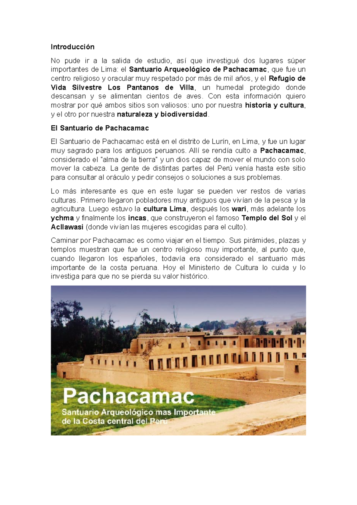 Pachacamac y Los Pantanos de Villa: Historia y Naturaleza en Lima - Studocu