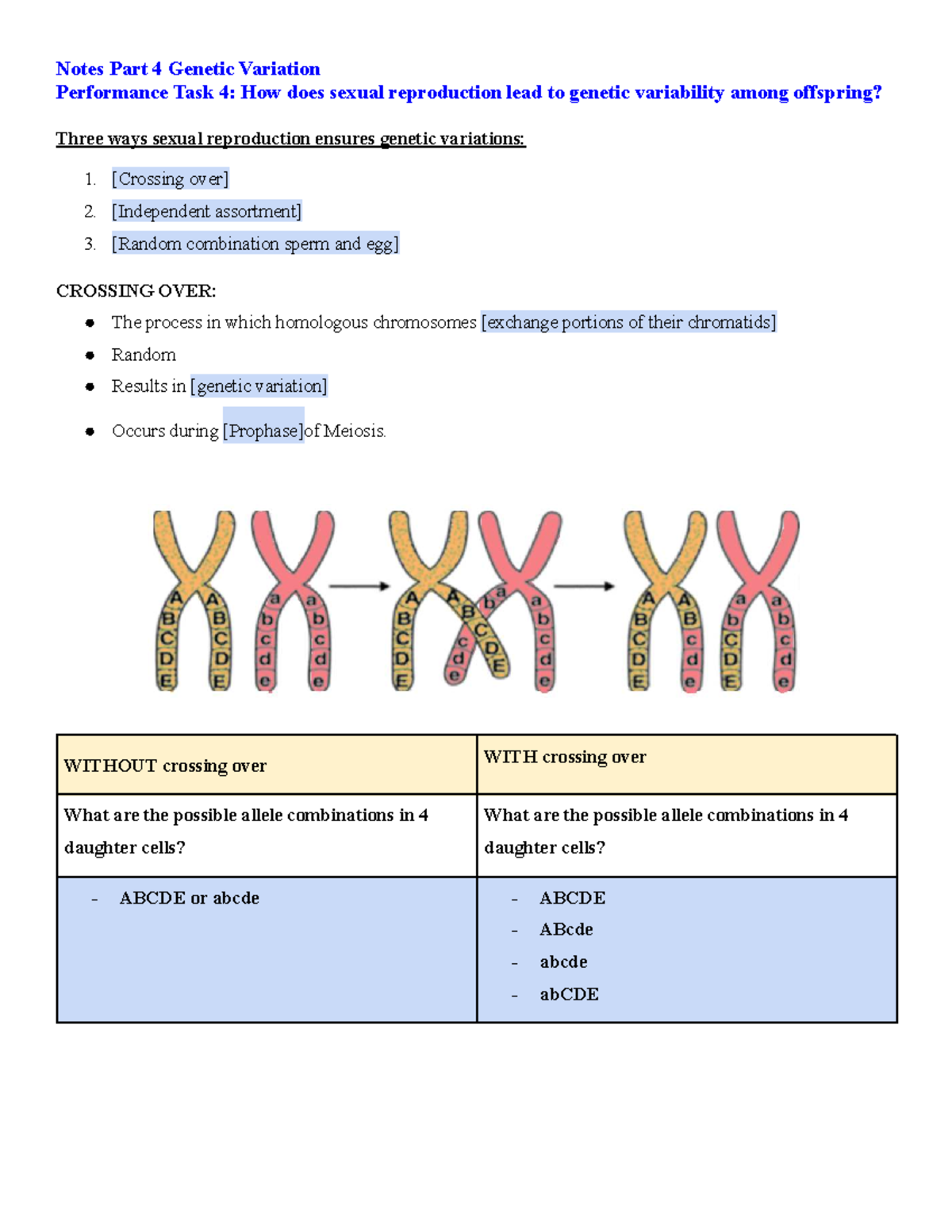 Genetic Variation Notes Part 4: Sexual Reproduction - Studocu