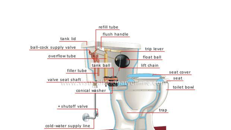 Water Closet Components & Codes Overview - Studocu