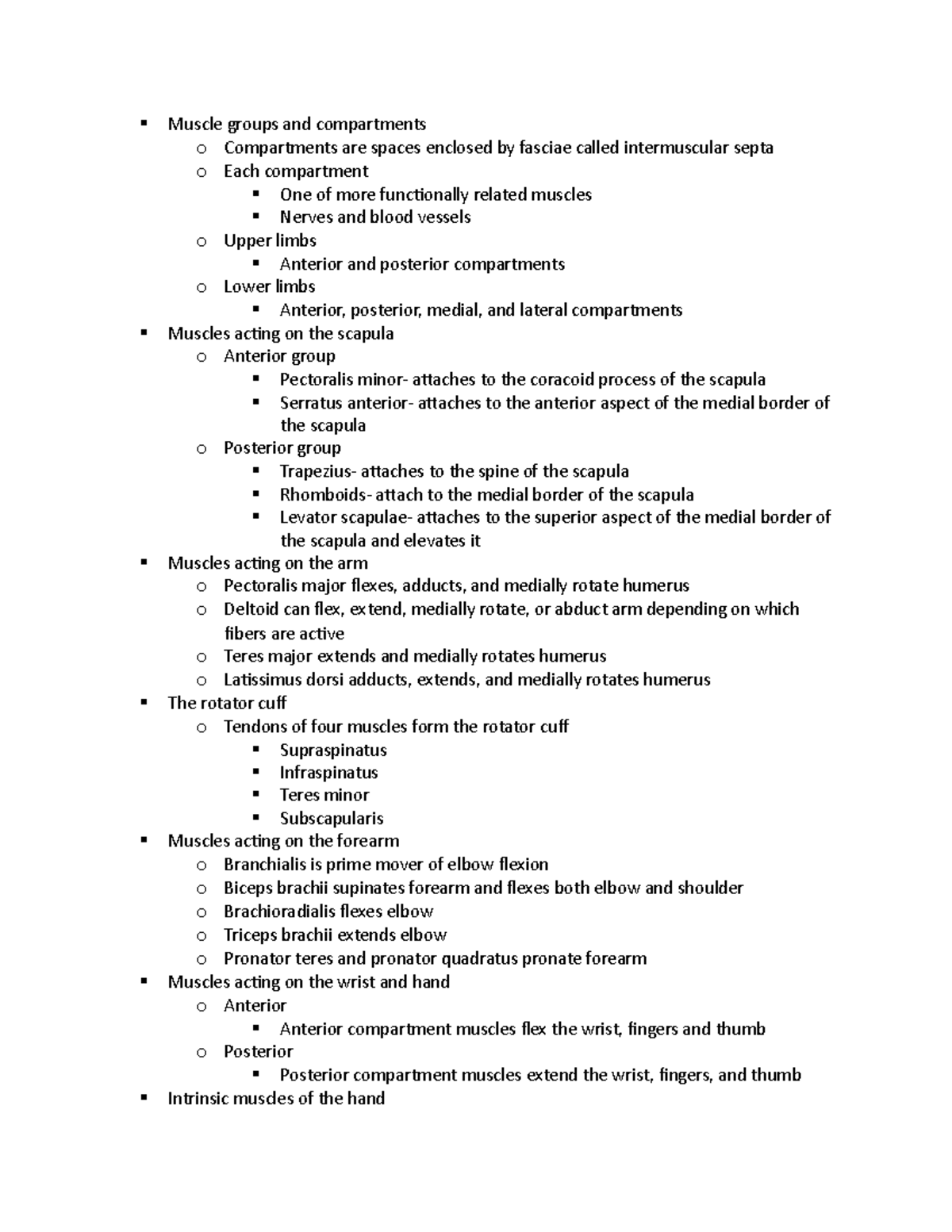 Muscle groups and compartments - Studocu