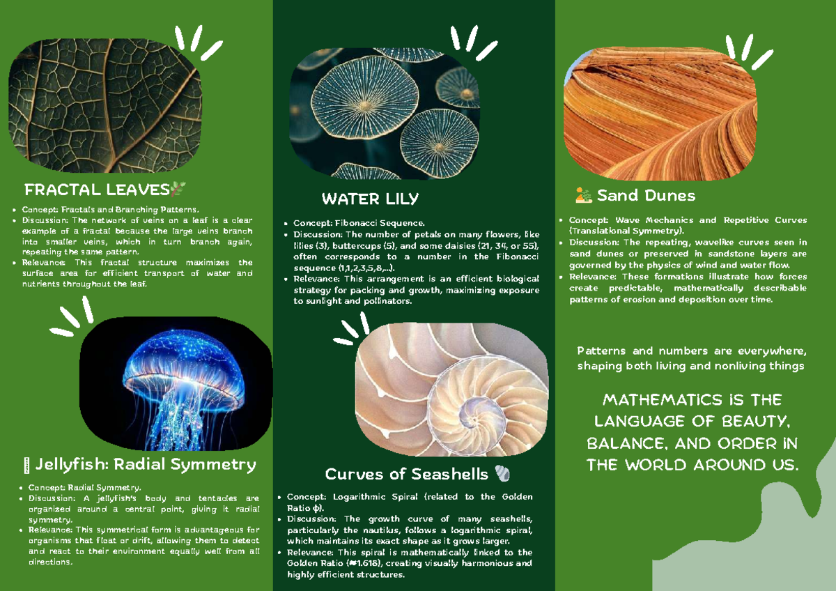 FRACTAL LEAVES & PATTERNS: Nature's Math in Art & Biology - Studocu