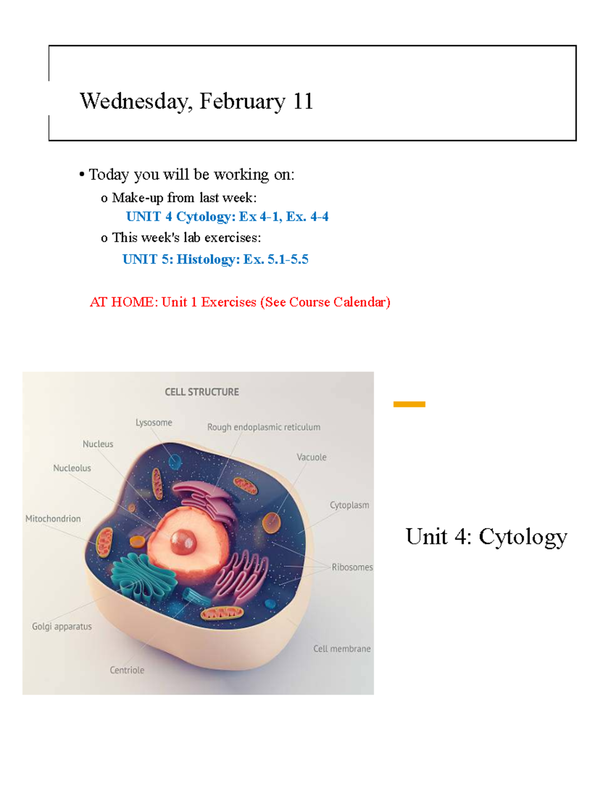 Cytology & Histology Lab Notes: Units 4 & 5 Overview - Studocu
