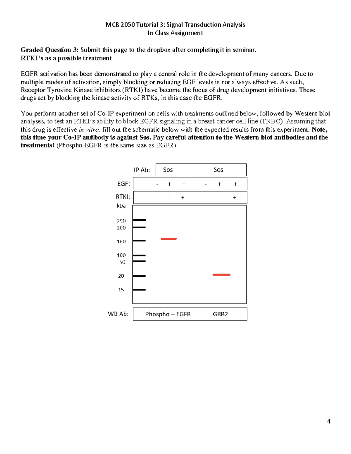 MCB 2050 Seminar 3: In-Class Assignment on Signal Transduction Analysis ...