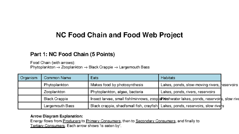 NC Food Chain and Food Web Project Part 1: Diagram & Explanation - Studocu