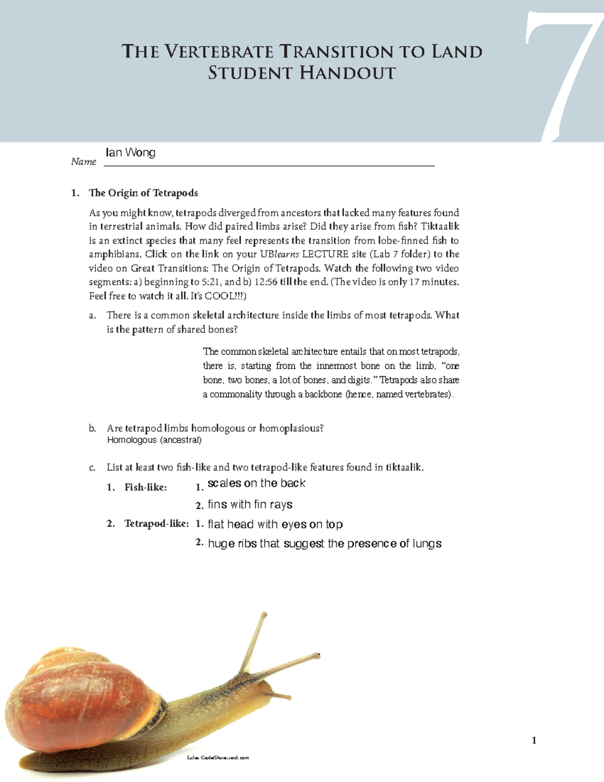 Lab 7 Part D - The Vertebrate Transition to Land Insights - Studocu