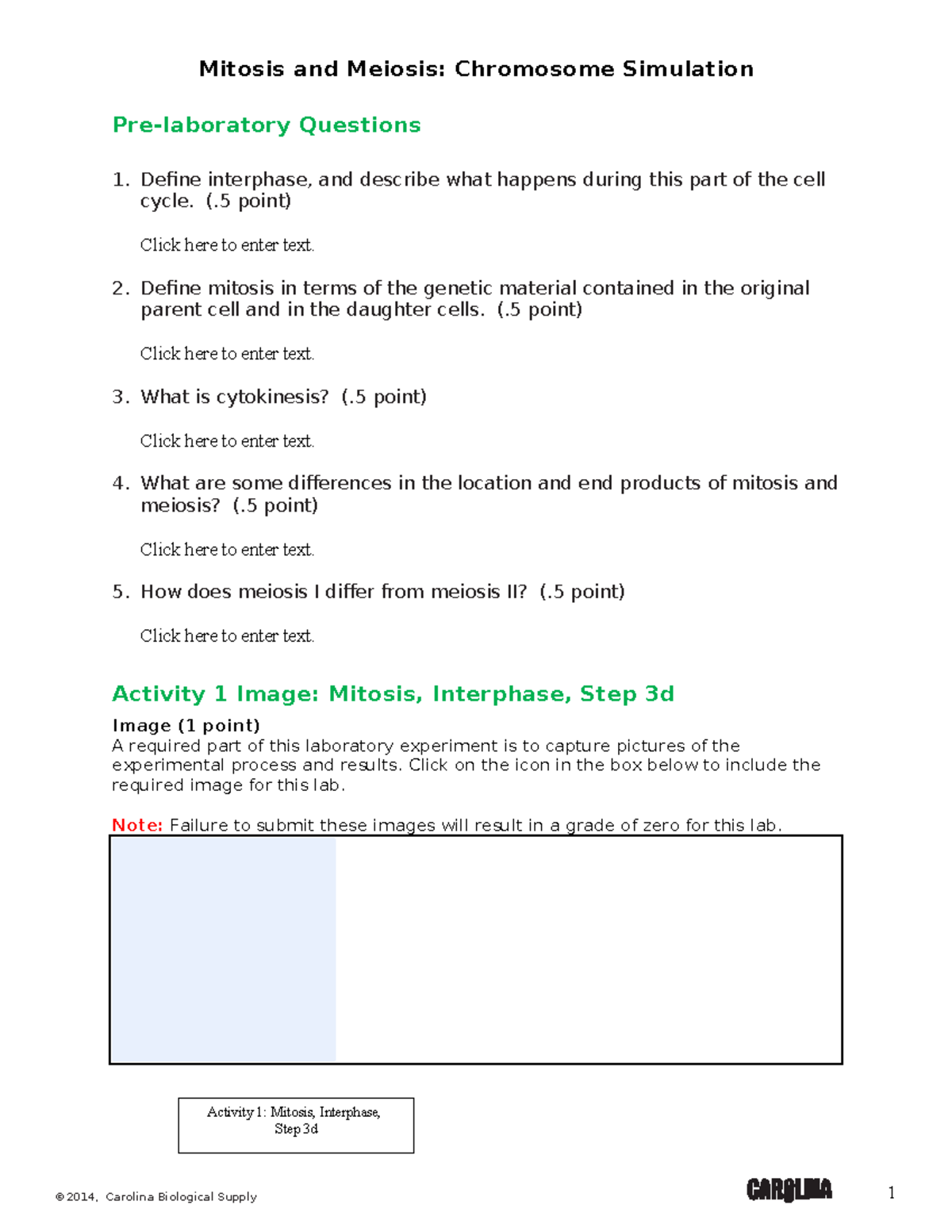 M9 Lab Report: Cell Cycle, Mitosis & Meiosis Assignment Worksheet - Studocu